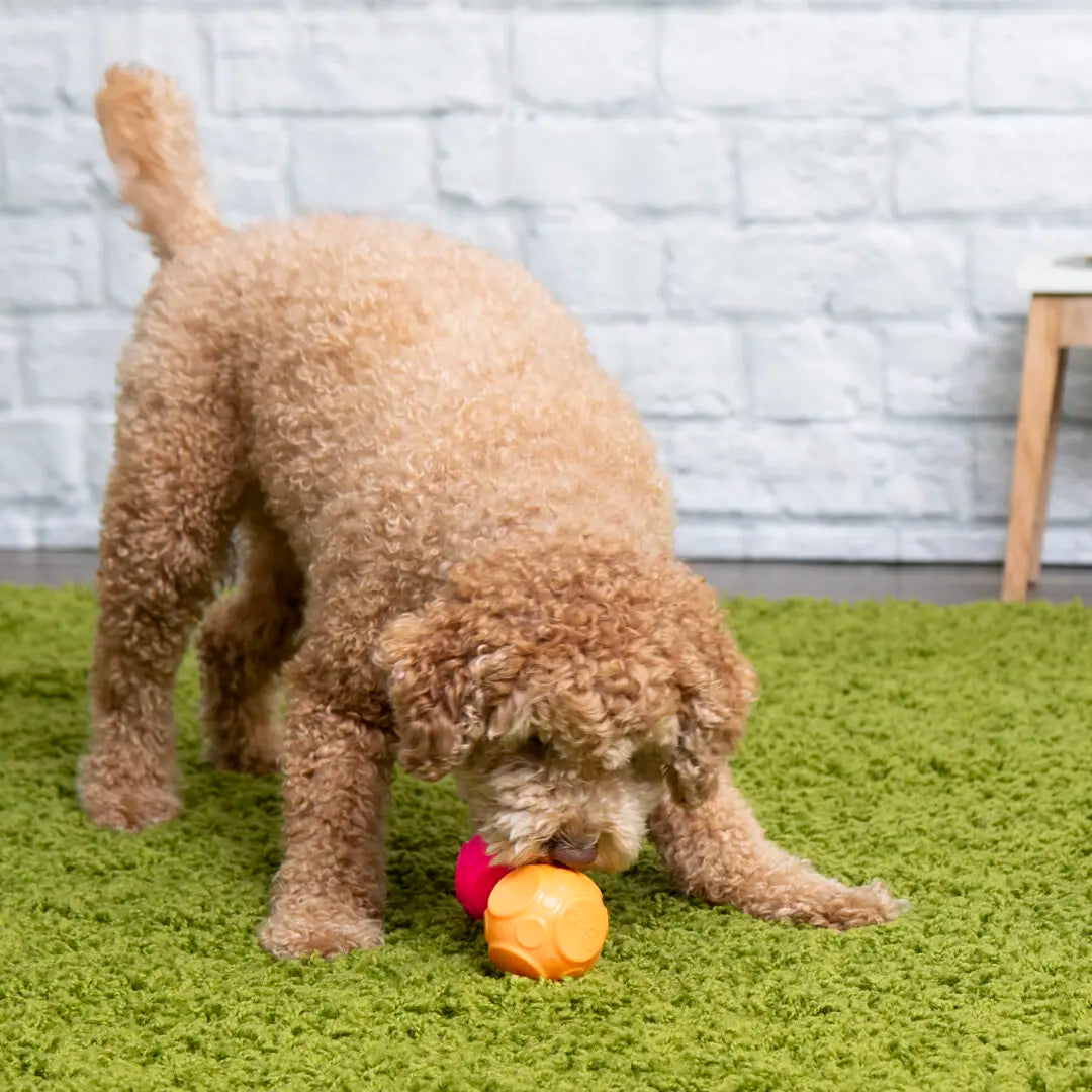 Silent Squeak Balls- 2 pack – Valley Feeds