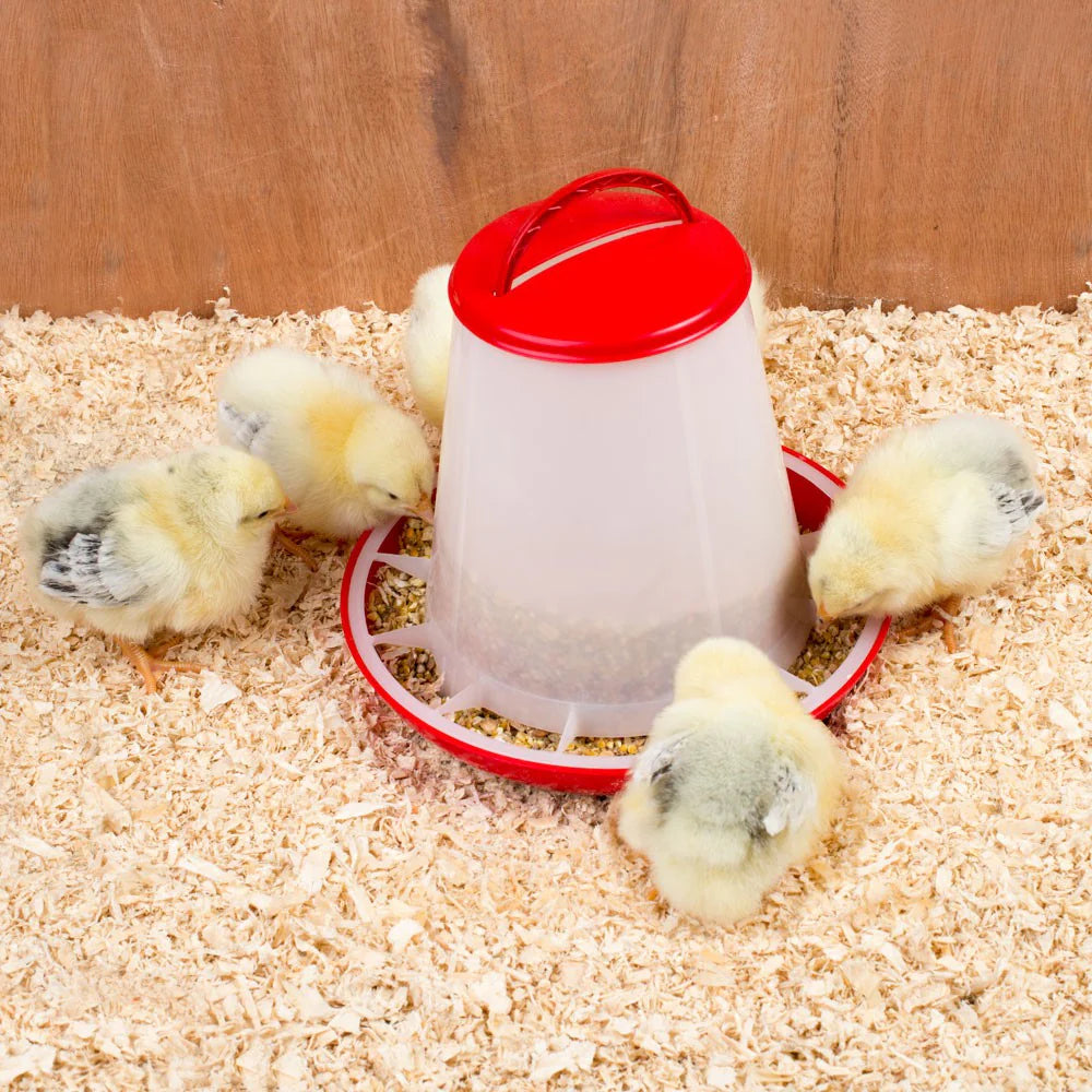 Poultry Hopper Feeder – Valley Feeds