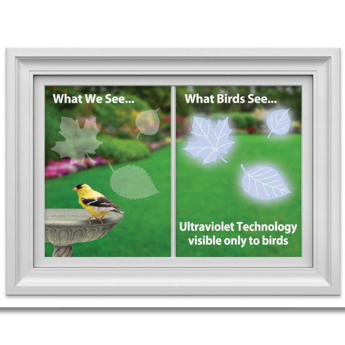 Window Alert Bird Anti-Collision Decals – Valley Feeds