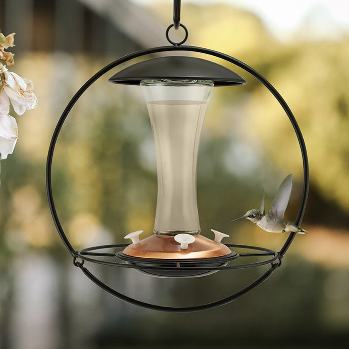 Floating Sphere Hummingbird Feeder – Valley Feeds