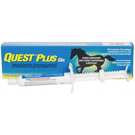 Quest Plus – Valley Feeds