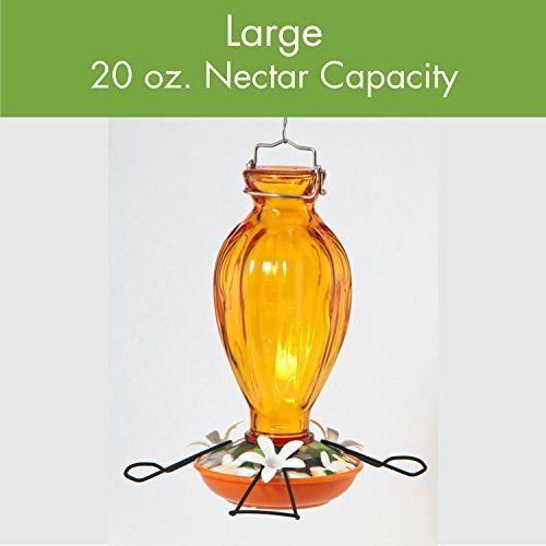 Oriole Bird Feeder, Fluted Glass, 20-oz – Valley Feeds