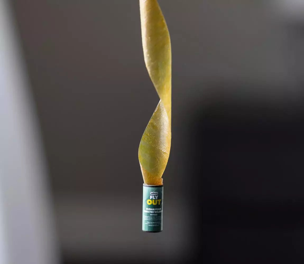 Wilson Fly Out Flying Insect Ribbon – Valley Feeds