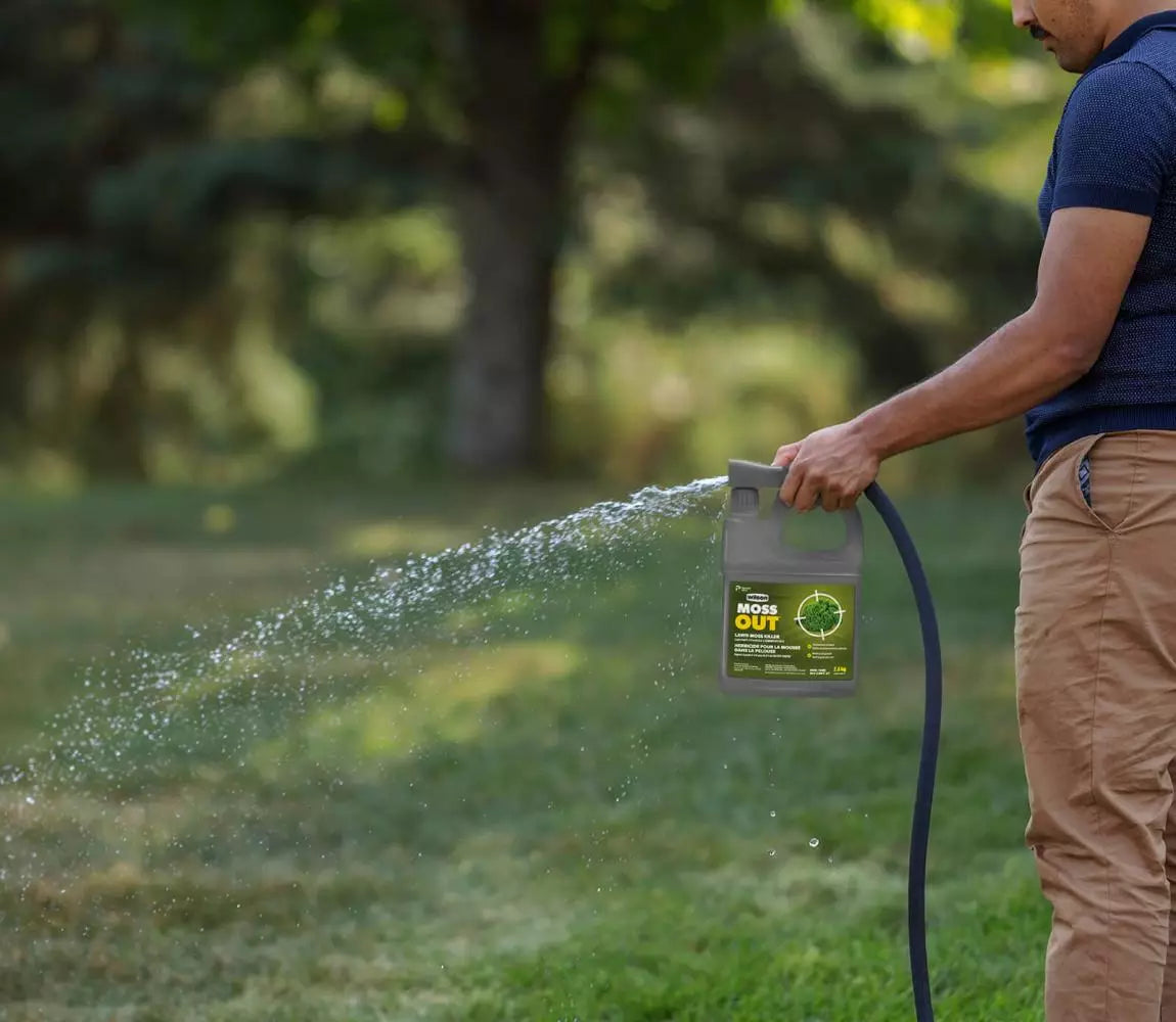 Moss Out Liquid 2.5kg – Valley Feeds